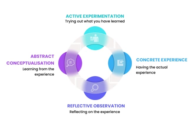 Kolb’s Experiential Learning Cycle: How We Learn Through Experience
